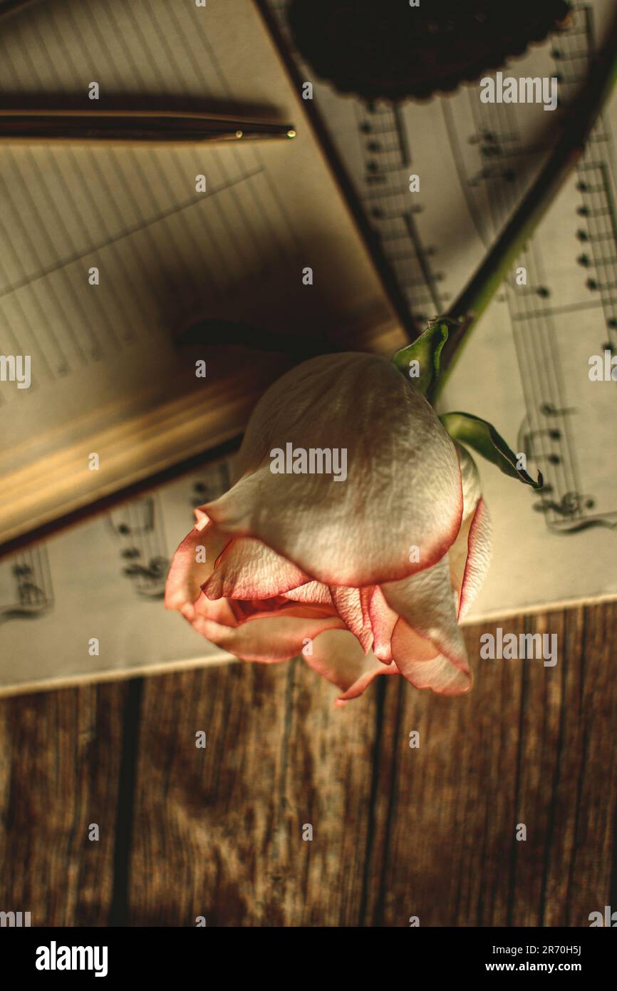 Vignette rose hi-res stock photography and images - Alamy