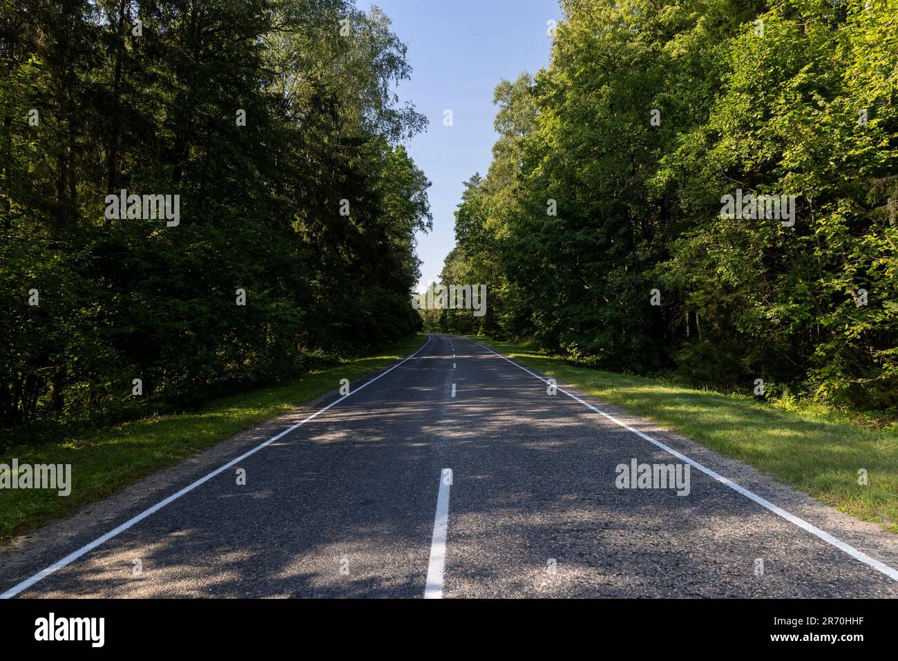 Paved road through the forest, a high-quality road for traffic in rural ...