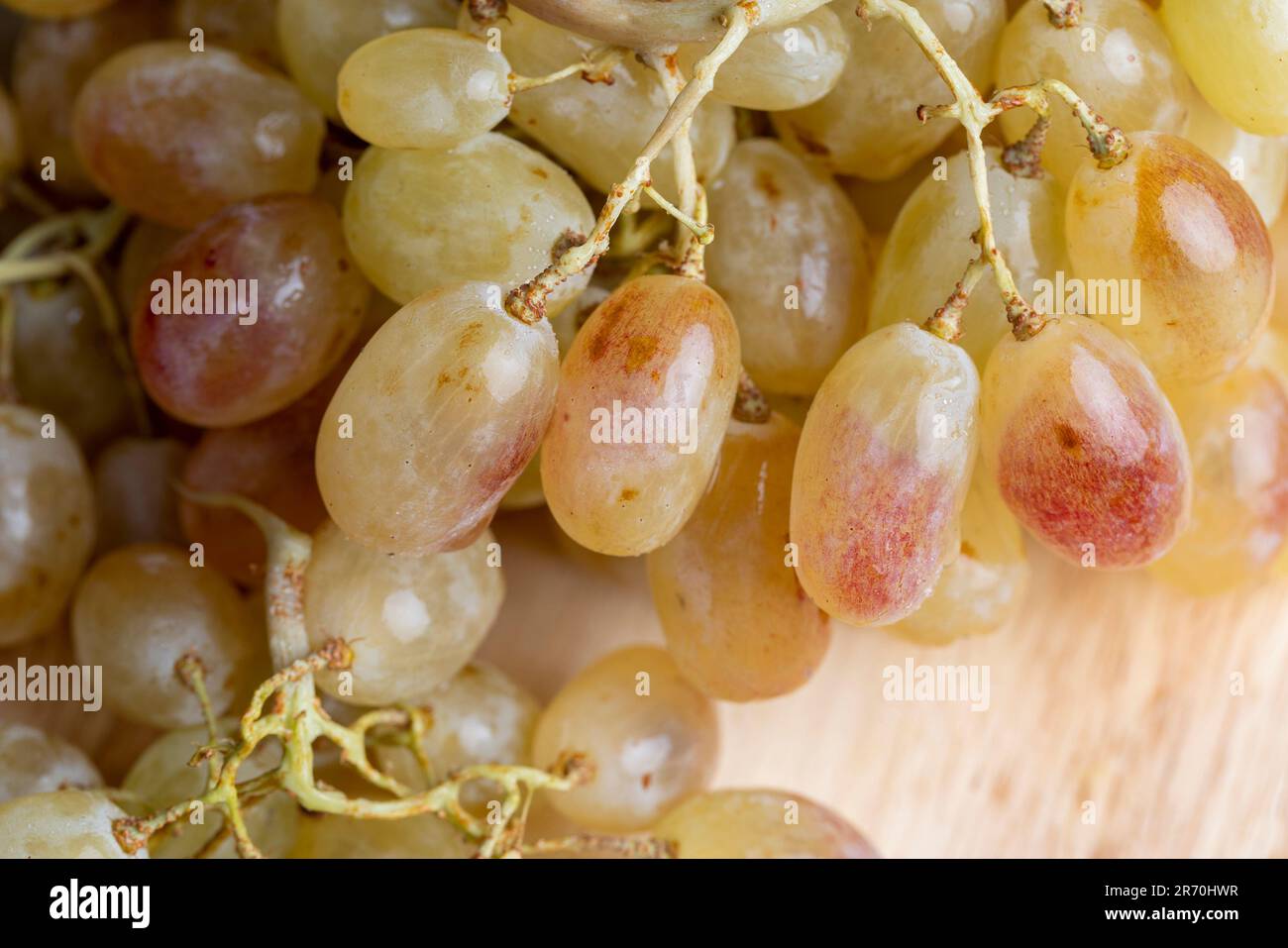 Green grapes unwashed lying on the board, fresh harvest of harvested ...