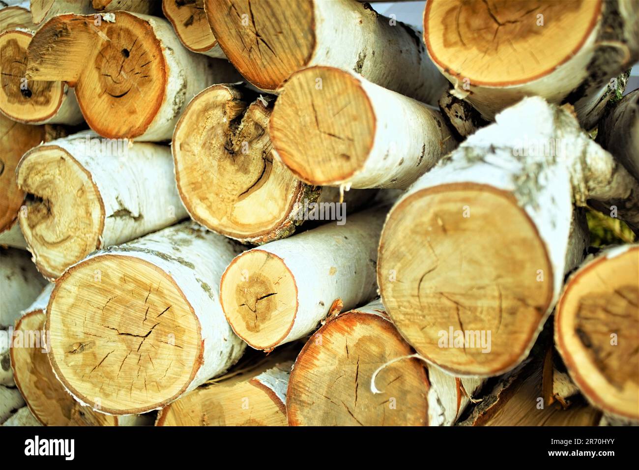 Birch logs in woodpile hi-res stock photography and images - Alamy