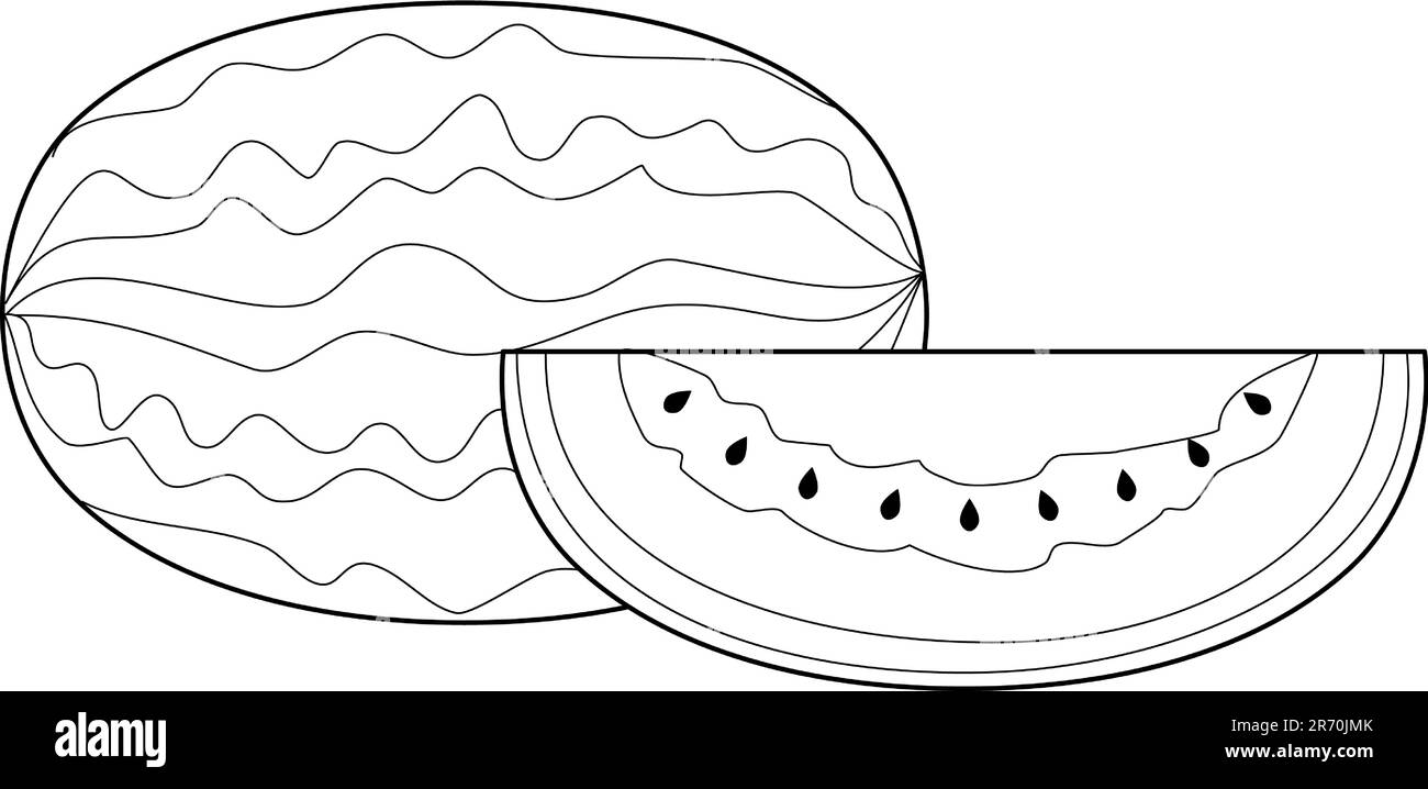 Black and White line drawing of a Whole Watermelon and a slice of ...