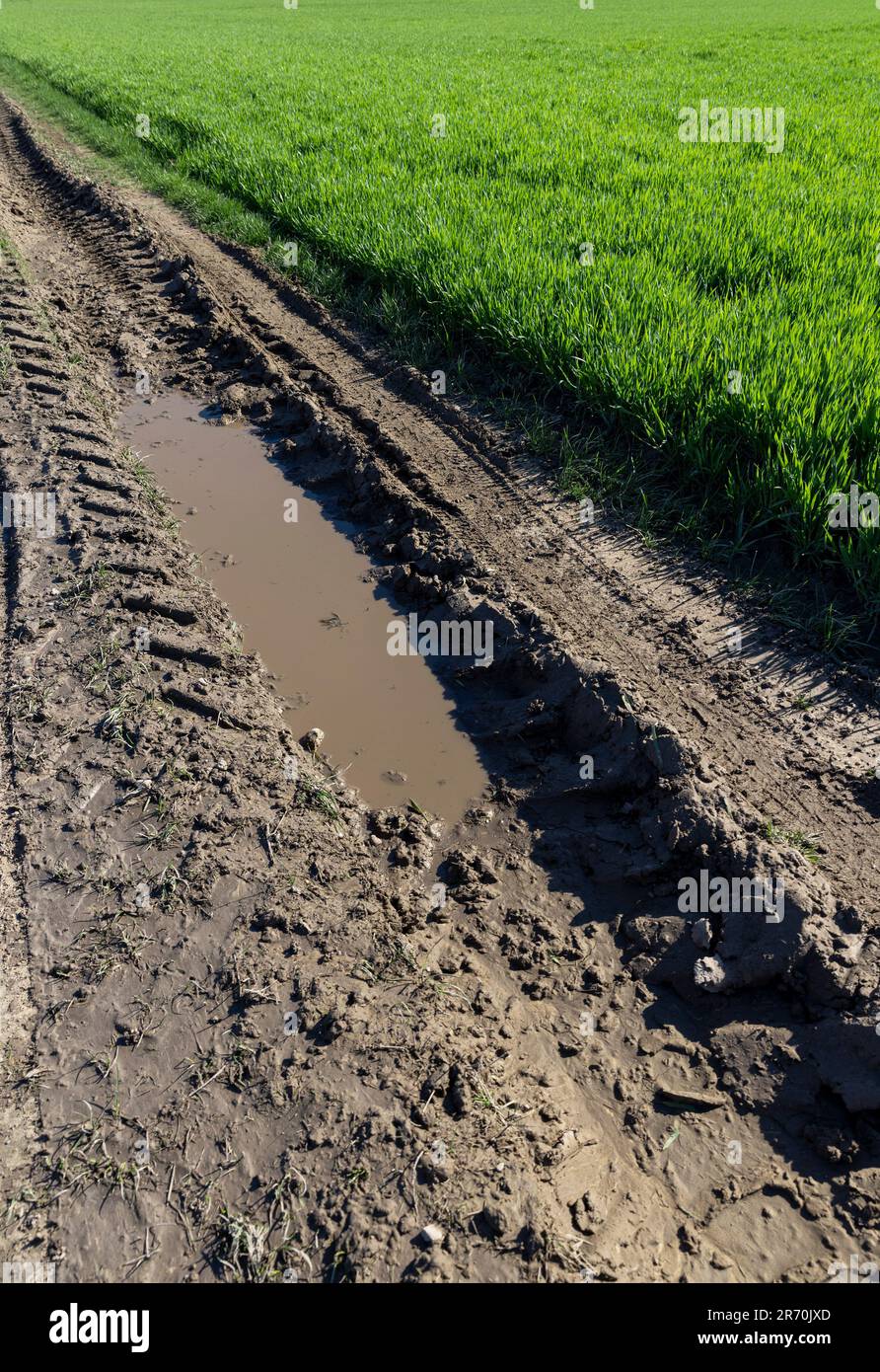 poor rural road without asphalt or other pavement, parts of the road in ...