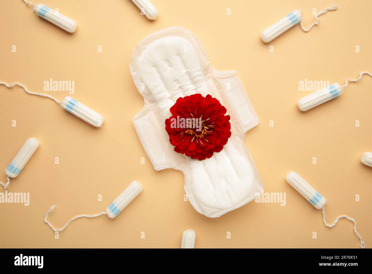 Menstrual tampons and pads on beige background. A rose flower lies on a ...