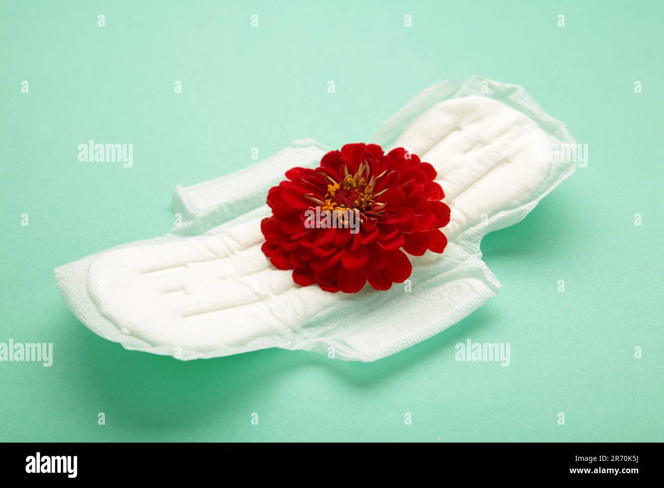 White sanitary pad, hygiene protection on a mint background ...