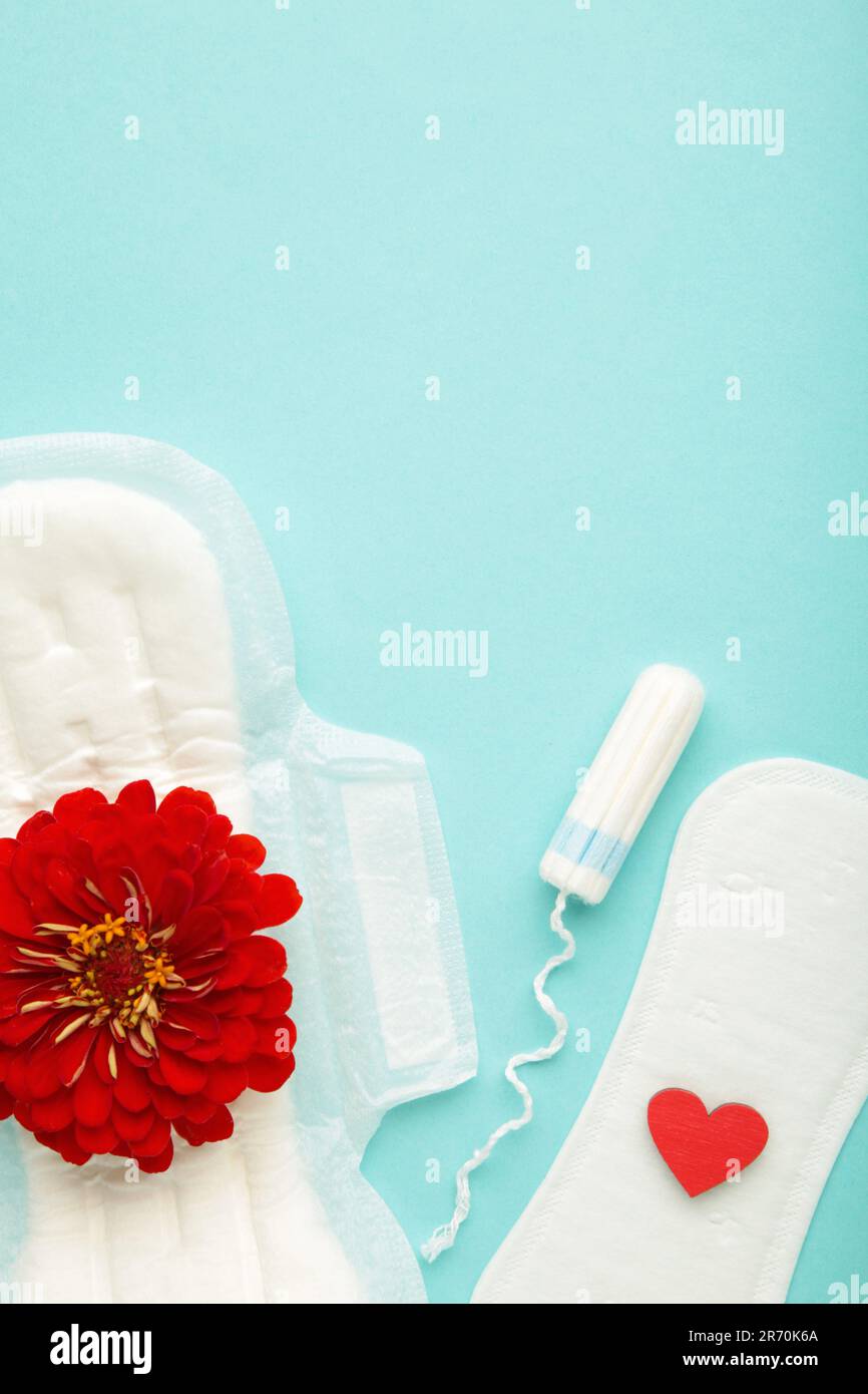 Menstrual tampons and pads on blue background. A rose flower lies on a ...