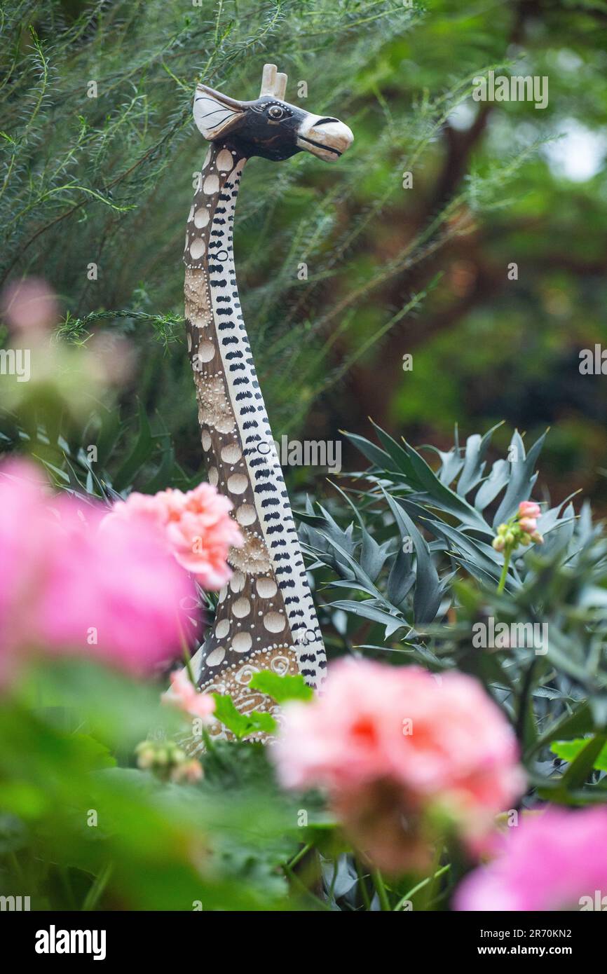 Vertical view. Close up of giraffe wooden statue on display for visitor ...