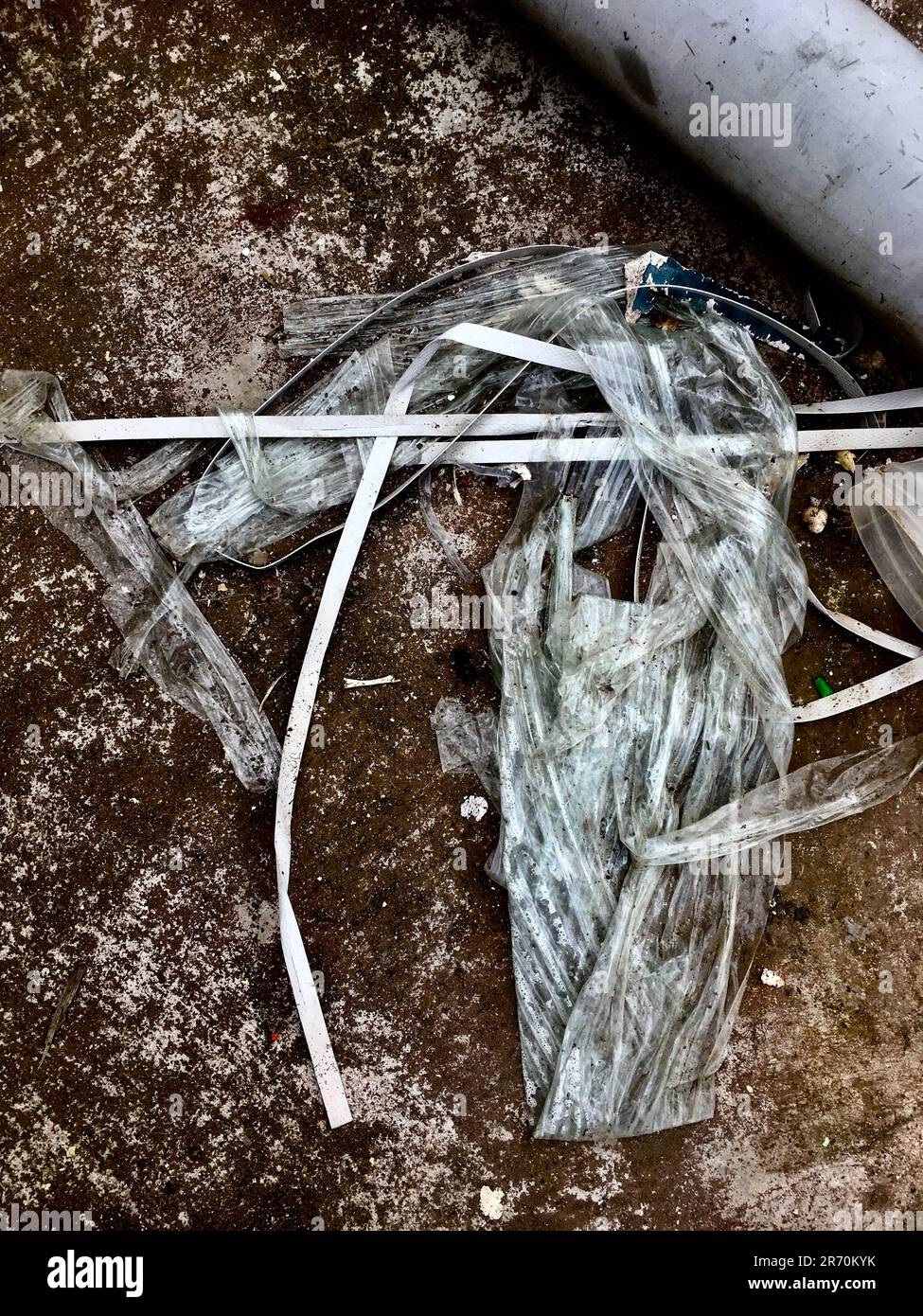 digital painting, digital art, abstract painting, abstract art ...