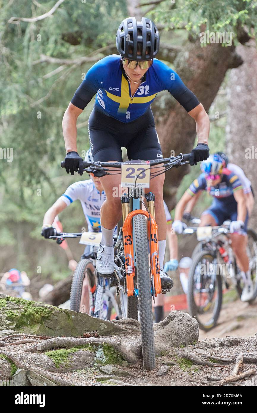 Lenzerheide, Schweiz. 11. Juni 2023. RISSVEDS Jenny TEAM 31 IBIS CYCLES ...