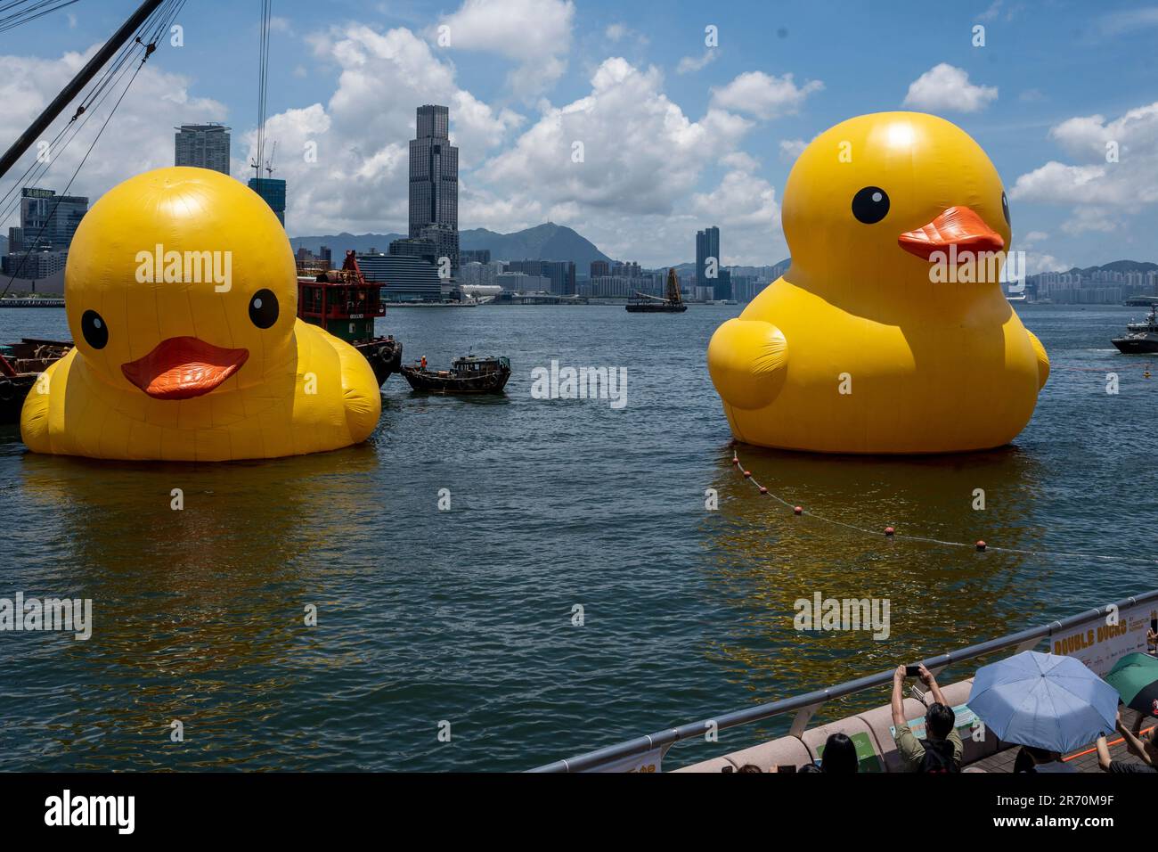 Hong Kong, Hong Kong. 12th June, 2023. An inflating giant rubber duck ...