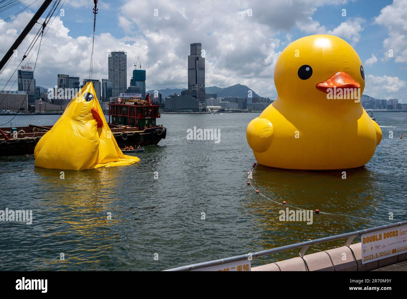 Hong Kong, Hong Kong. 12th June, 2023. An inflating giant rubber duck ...