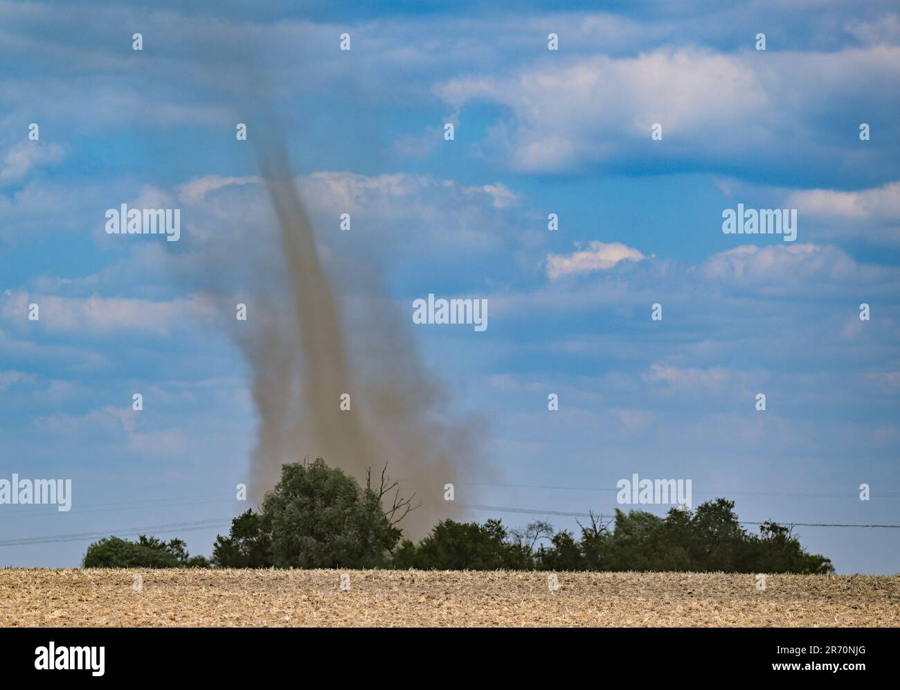Jacobsdorf, Germany. 12th June, 2023. Like a small whirlwind, dust from ...