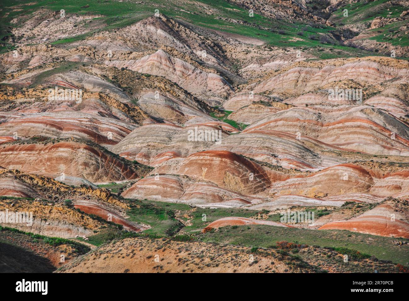 West coast painted rocks hi-res stock photography and images - Alamy