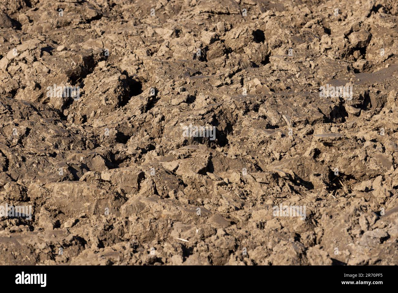Preparation of soil for sowing plants, plowed soil in an agricultural ...