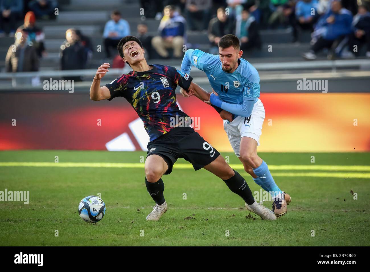 Hadar fuchs hi-res stock photography and images - Alamy