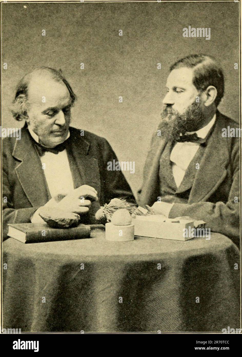 Count louis francois de pourtales hi-res stock photography and images ...