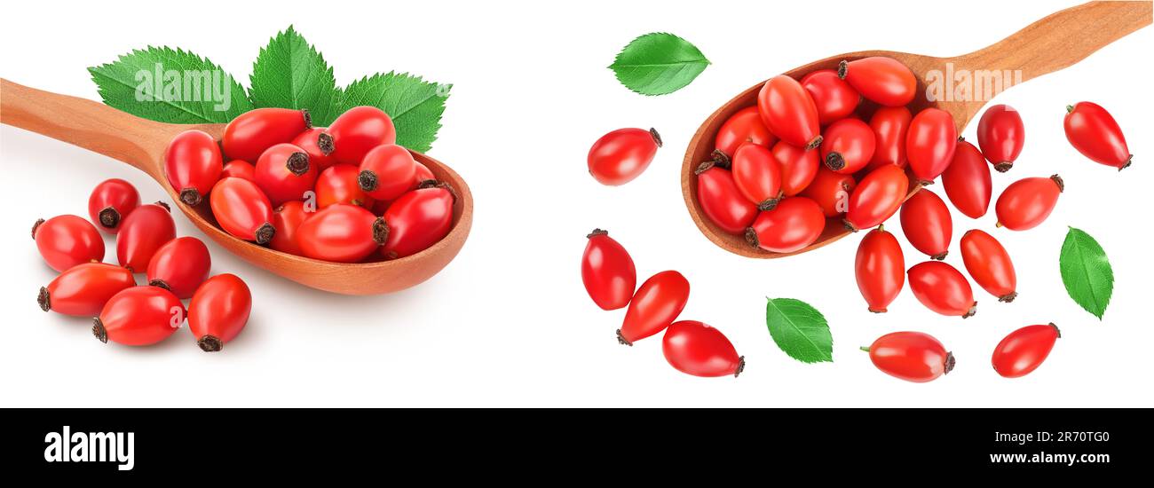 Rose hip in wooden spoon isolated on a white background with full depth ...