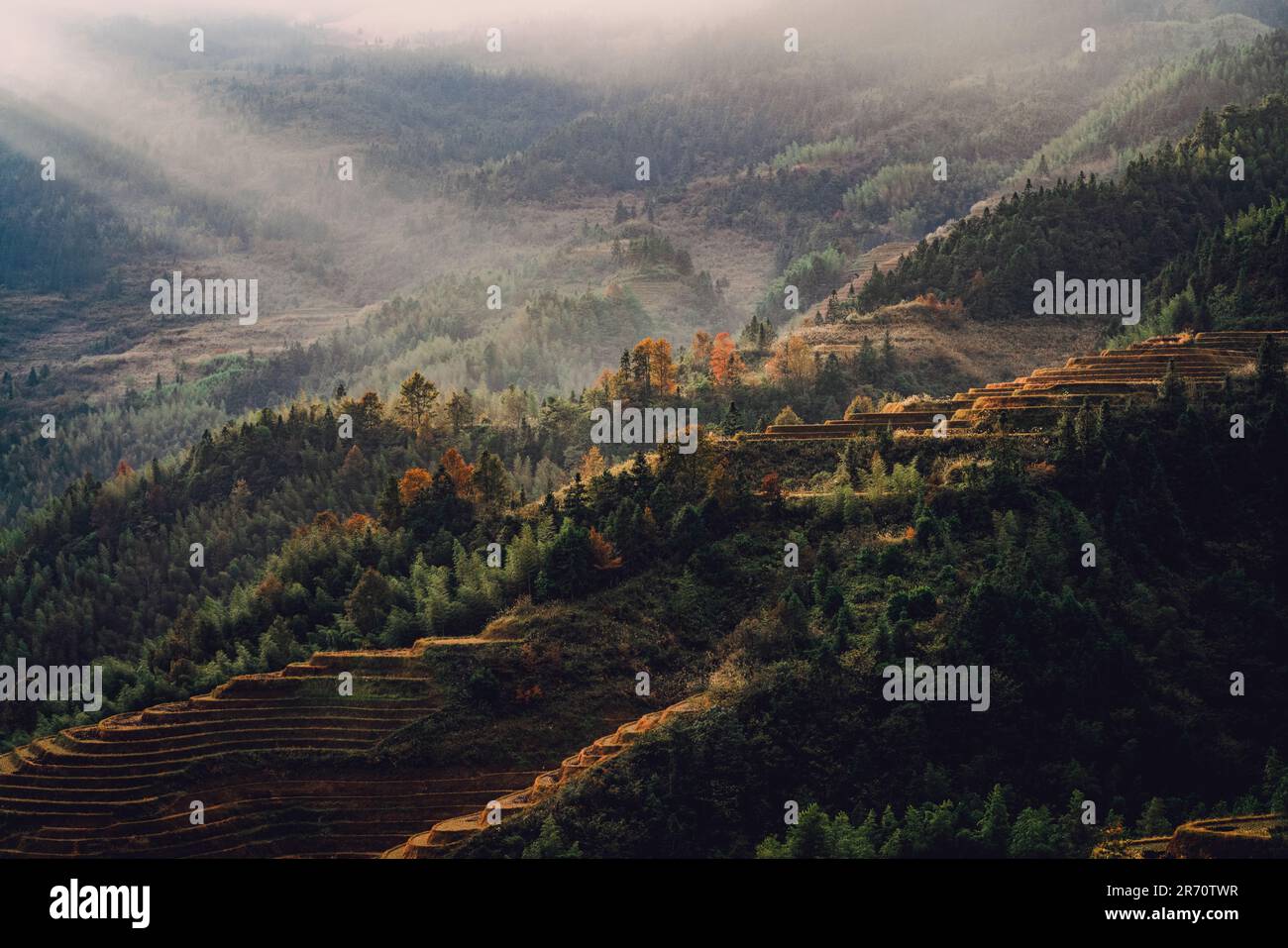 An aerial view of a scenic hilly landscape, featuring rolling hills and ...