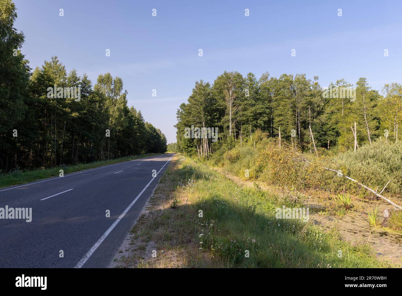 Rural areas with beautiful scenic trees hi-res stock photography and ...