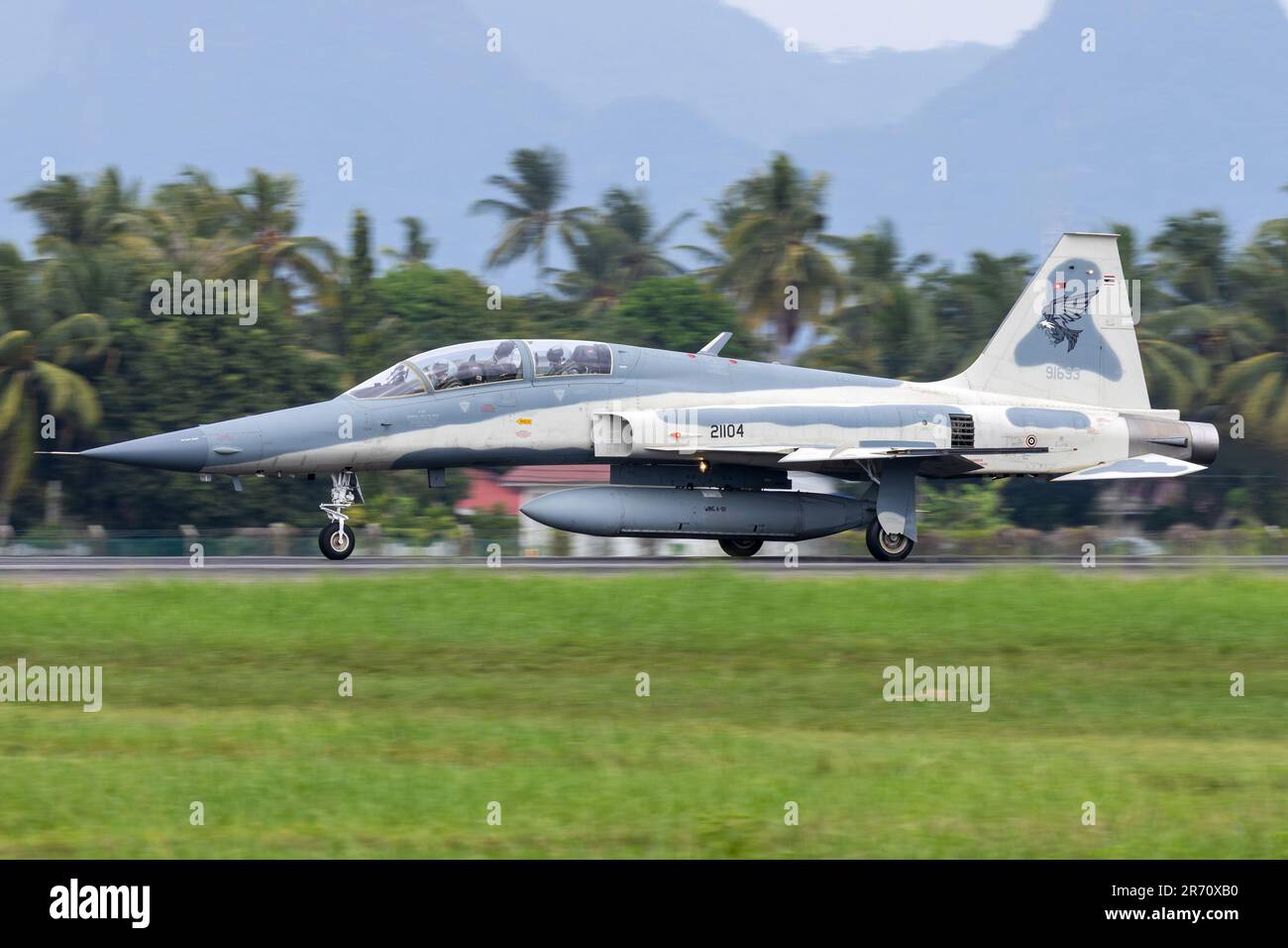 F 5f jet hi-res stock photography and images - Alamy