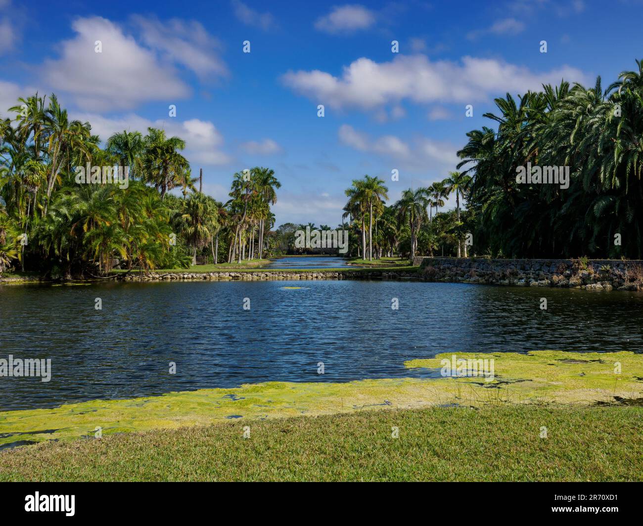 A tranquil lagoon located in a lush tropical garden, near the edge of ...