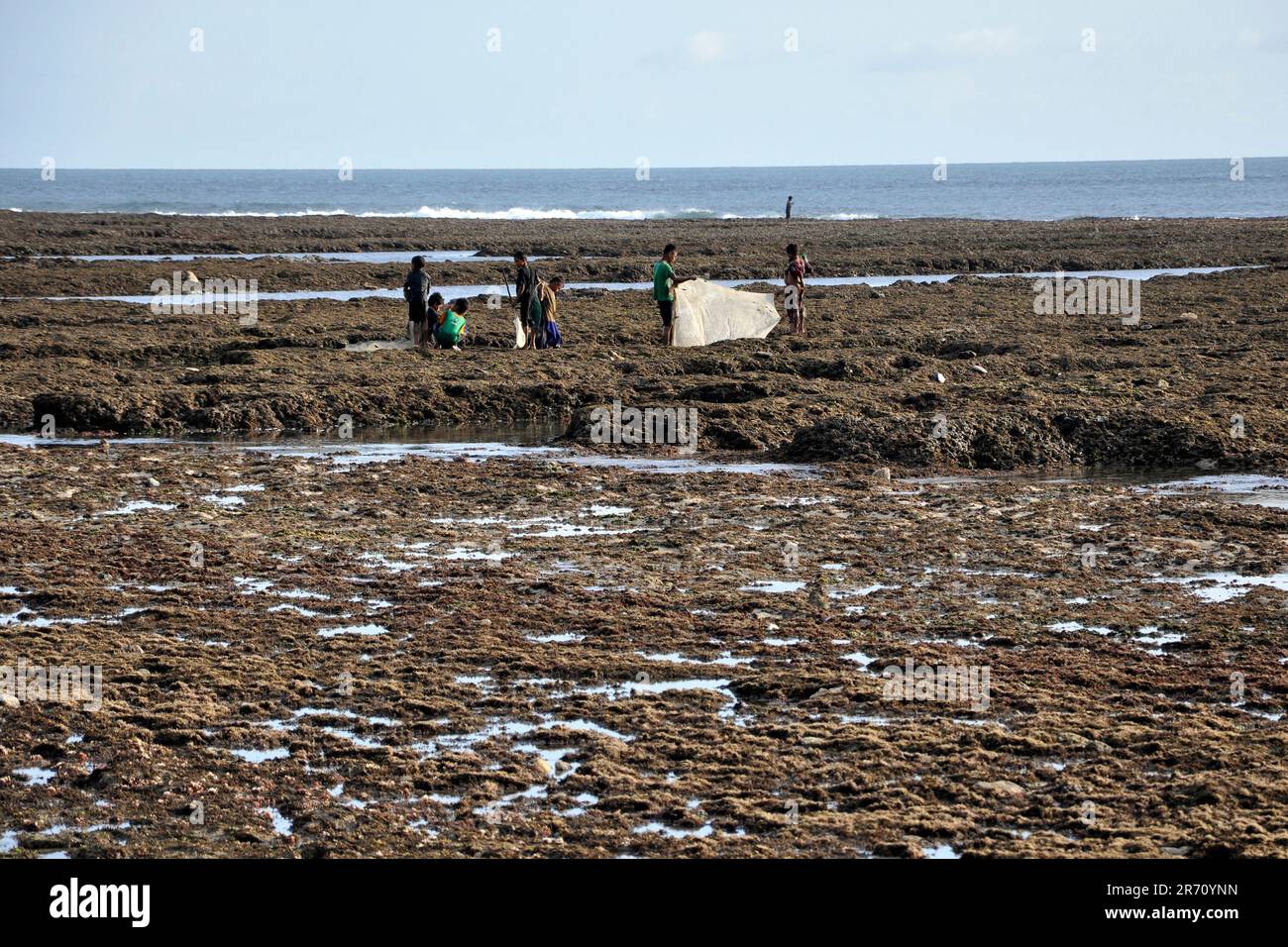 Indonesia. Sumba island. Pero beach. workers Stock Photo - Alamy