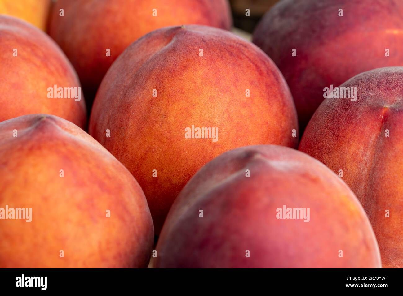Ripe fresh peaches on a wooden table, a large number of washed and ...