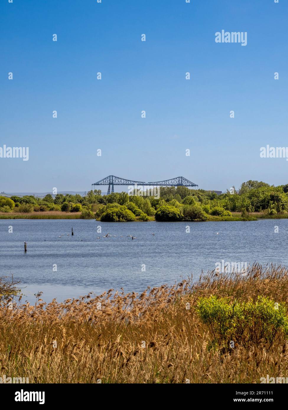 Looking south across the lake at Saltholme nature reserve towards the ...