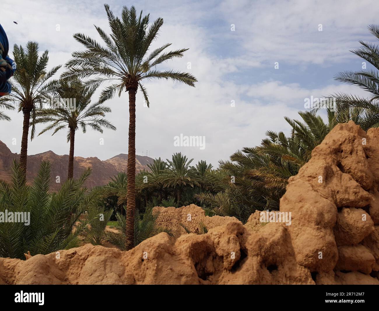 the breathtaking landscape of AlUla, Saudi Arabia, featuring majestic ...