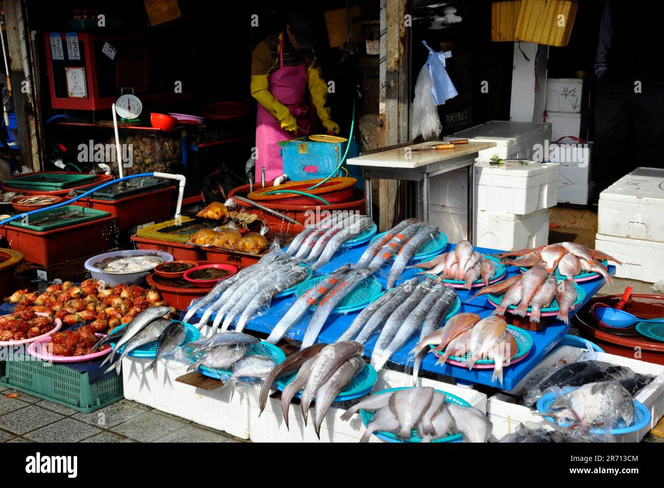 South Korea. Busan. fish market Stock Photo - Alamy