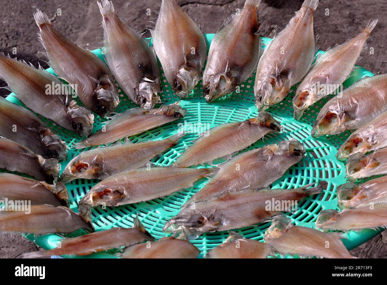 South Korea. Busan. fish market Stock Photo - Alamy