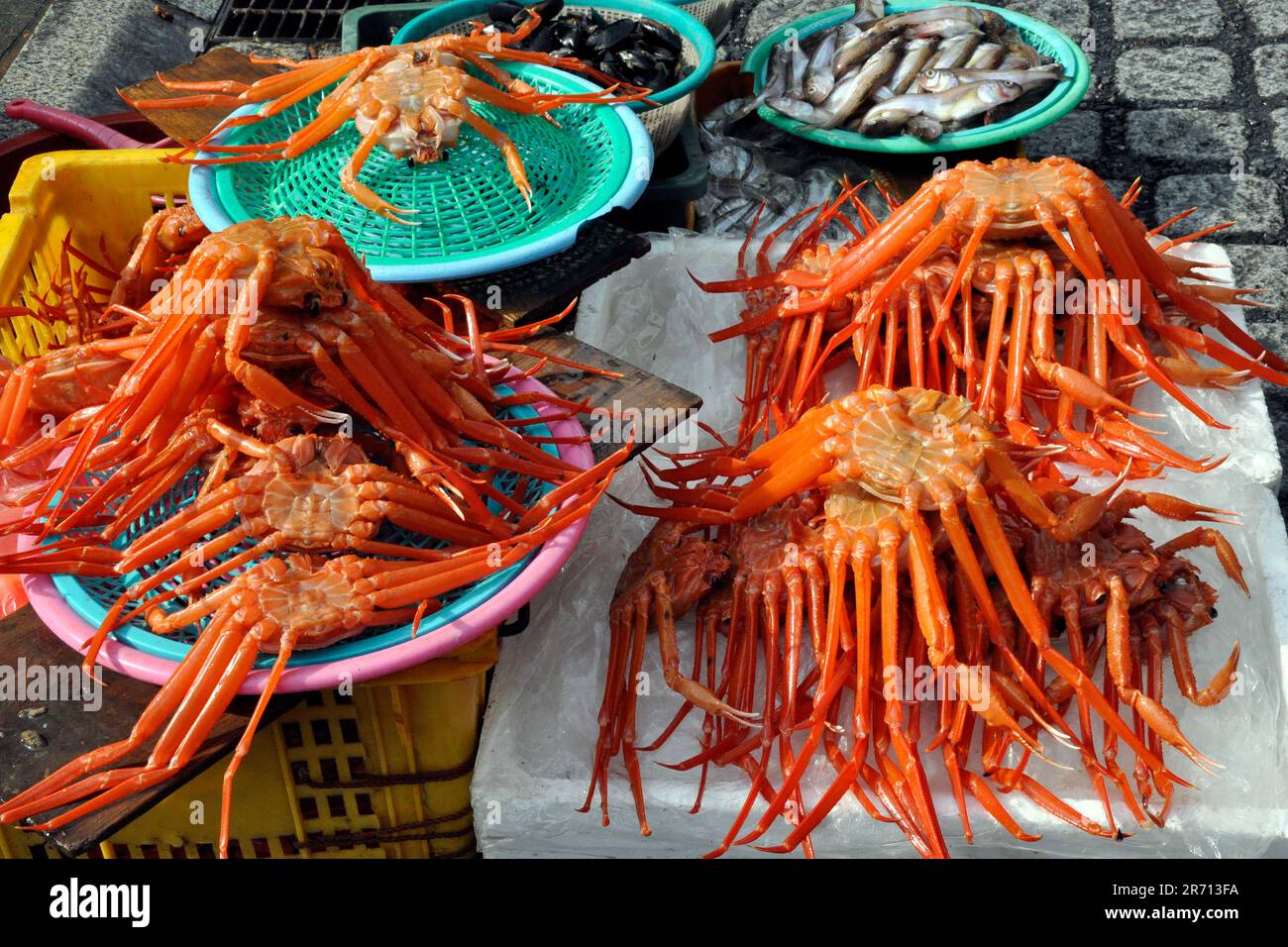South Korea. Busan. fish market Stock Photo - Alamy