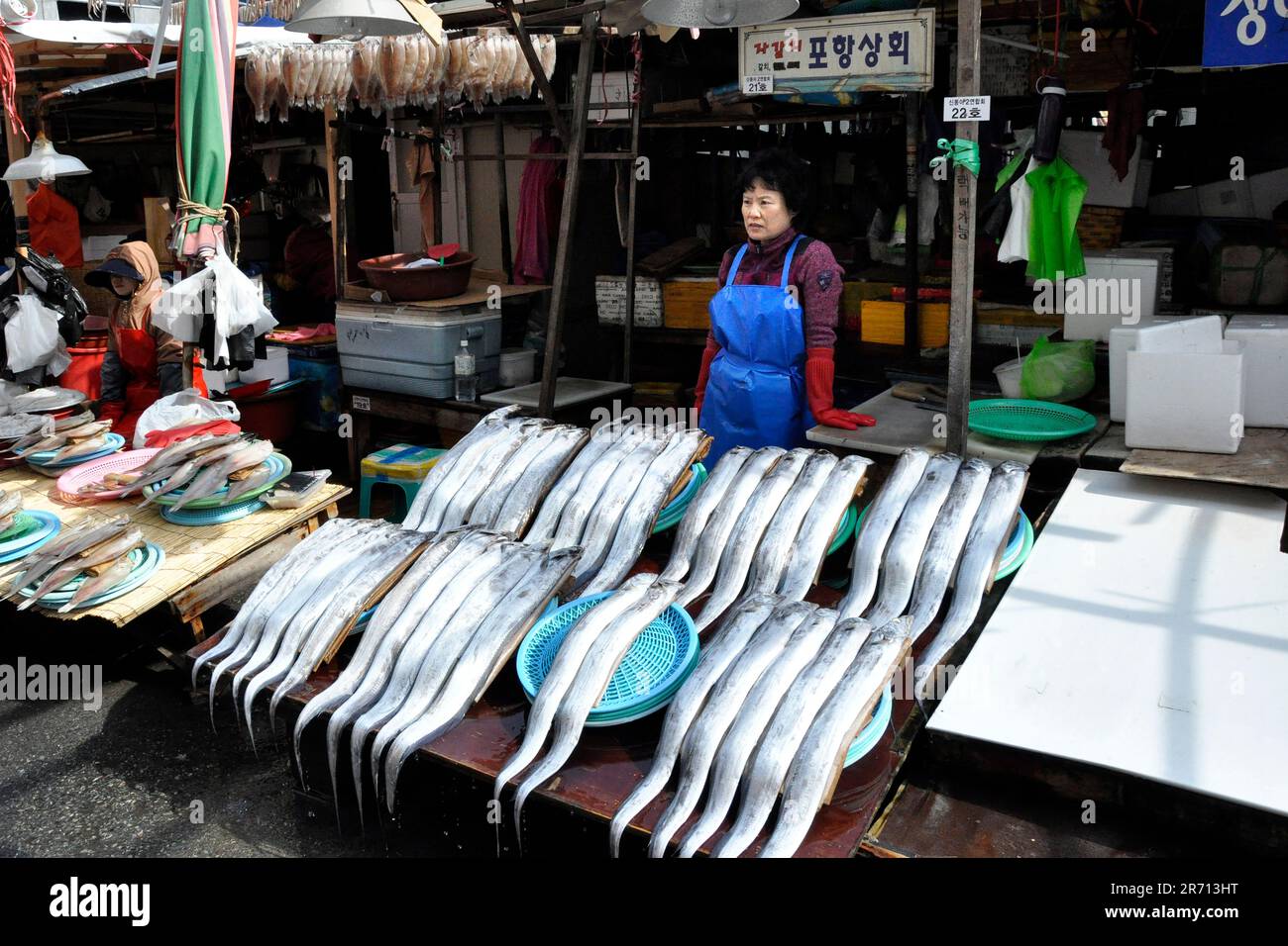 South Korea. Busan. fish market Stock Photo - Alamy