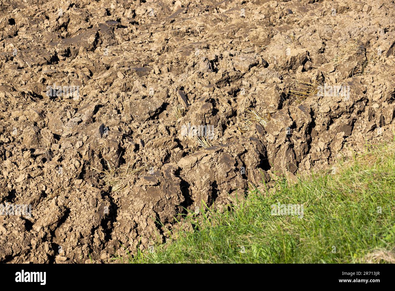 Preparation of soil for sowing plants, plowed soil in an agricultural ...