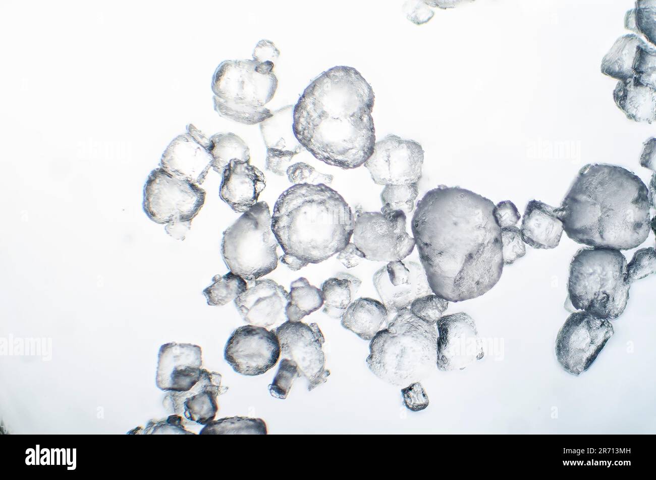 Salt crystals under microscope, light micrograph, close-up view Stock ...