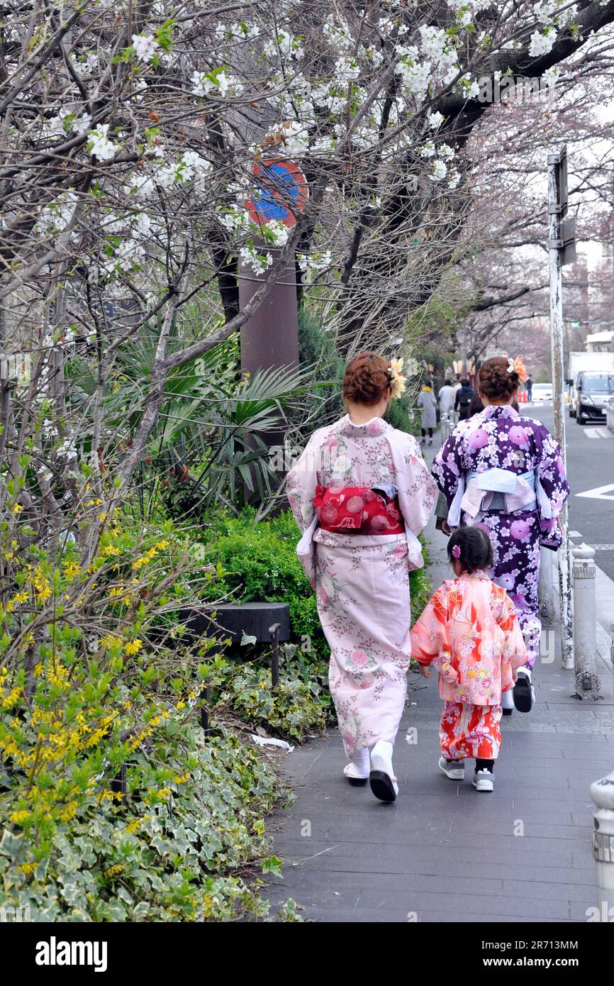 Pontocho kyoto geisha hi-res stock photography and images - Alamy