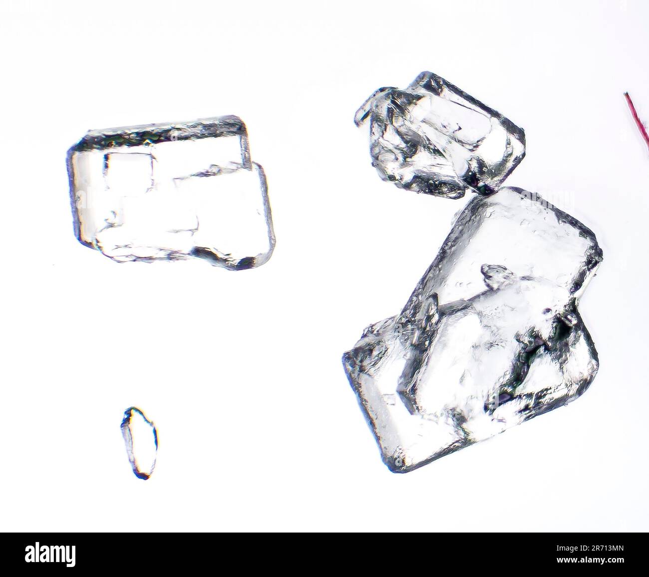 Sugar crystals under microscope, light micrograph, close-up view Stock ...