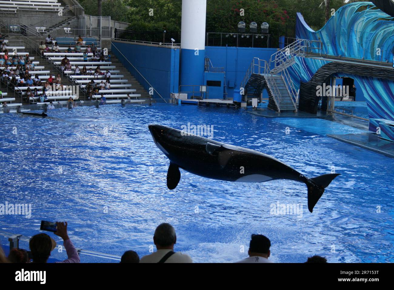 Smart animals hi-res stock photography and images - Alamy