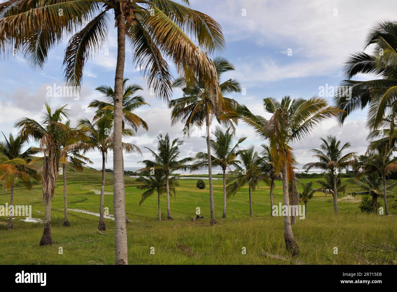 Indonesia. Sumba island. Marosi beach Stock Photo - Alamy