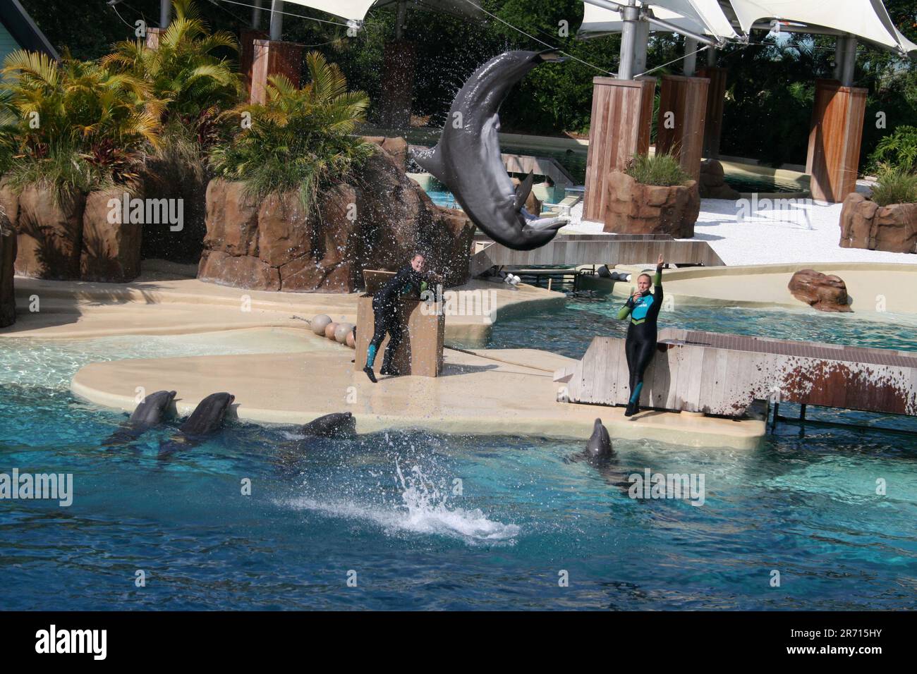 The most stunning animals ever, they can just train to do these amazing ...