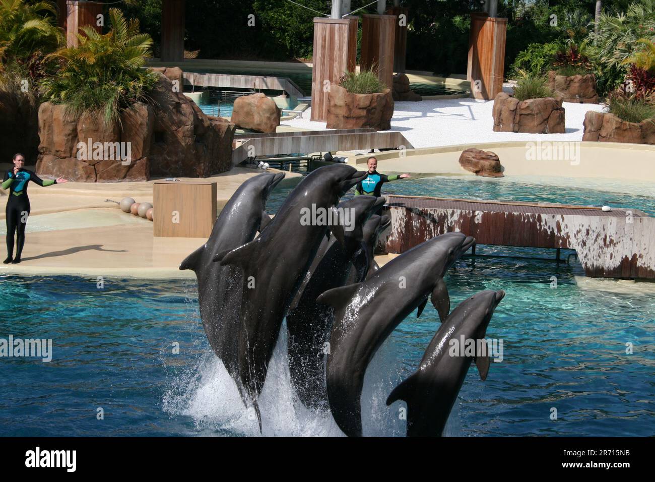 The most stunning animals ever, they can just train to do these amazing ...