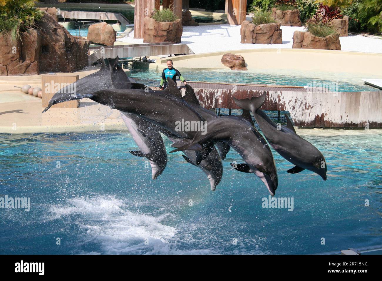 The most stunning animals ever, they can just train to do these amazing ...