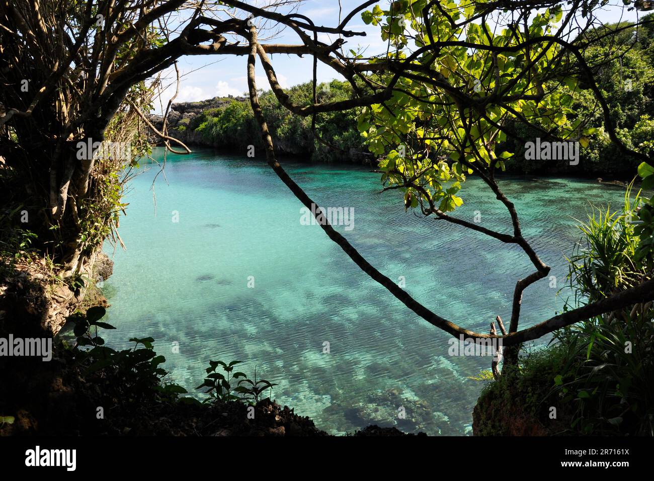 Indonesia. Sumba island. Waikuri secret pool Stock Photo - Alamy