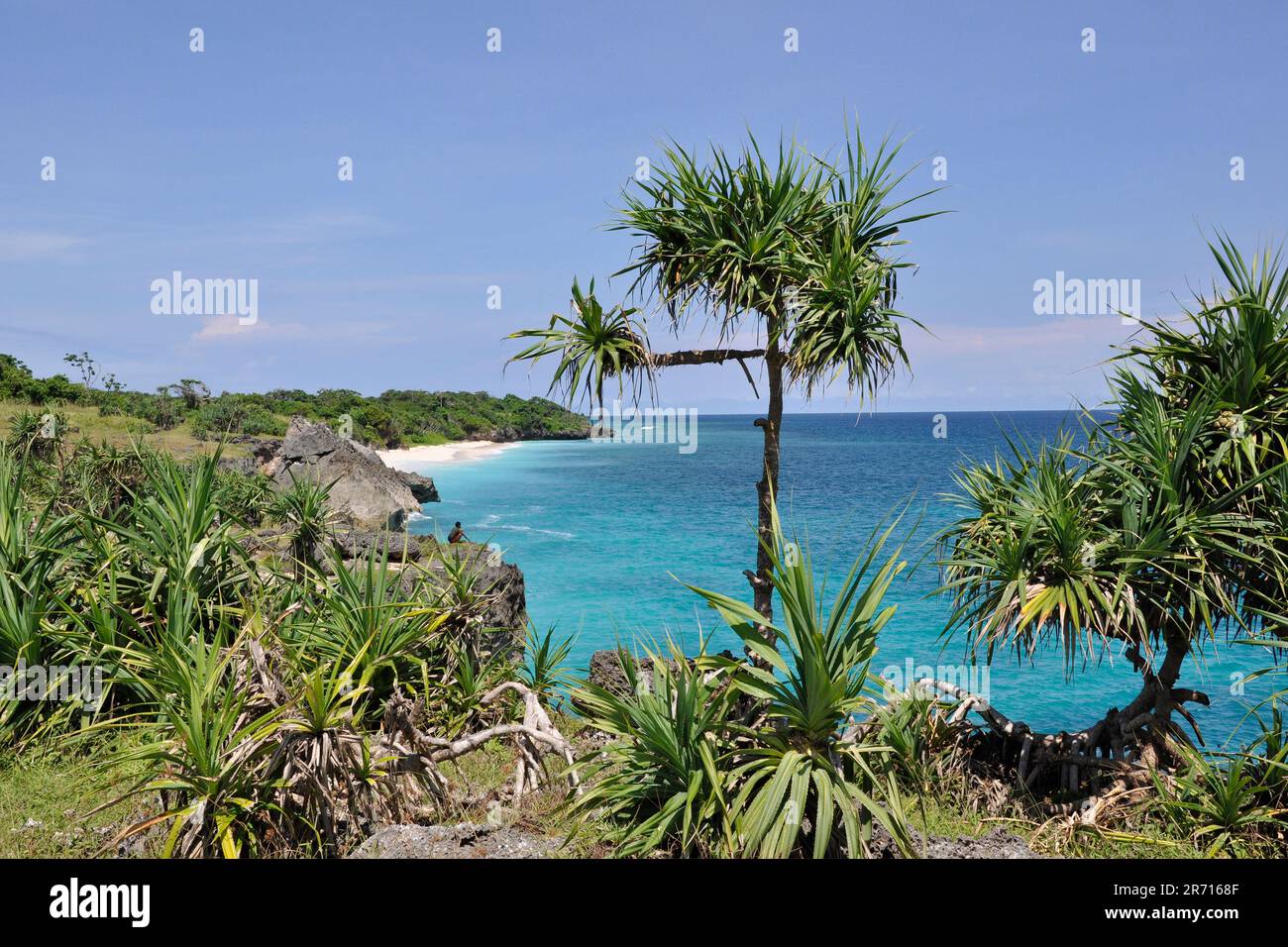 Indonesia. Sumba island. Mandora beach Stock Photo - Alamy