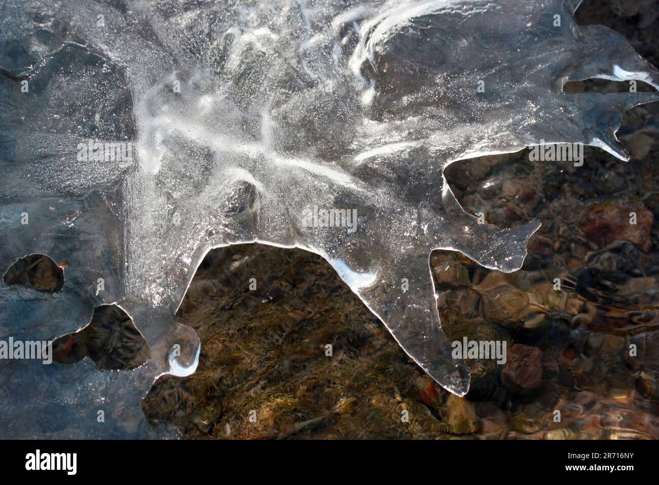Ice over frozen stream with flowing water Stock Photo - Alamy