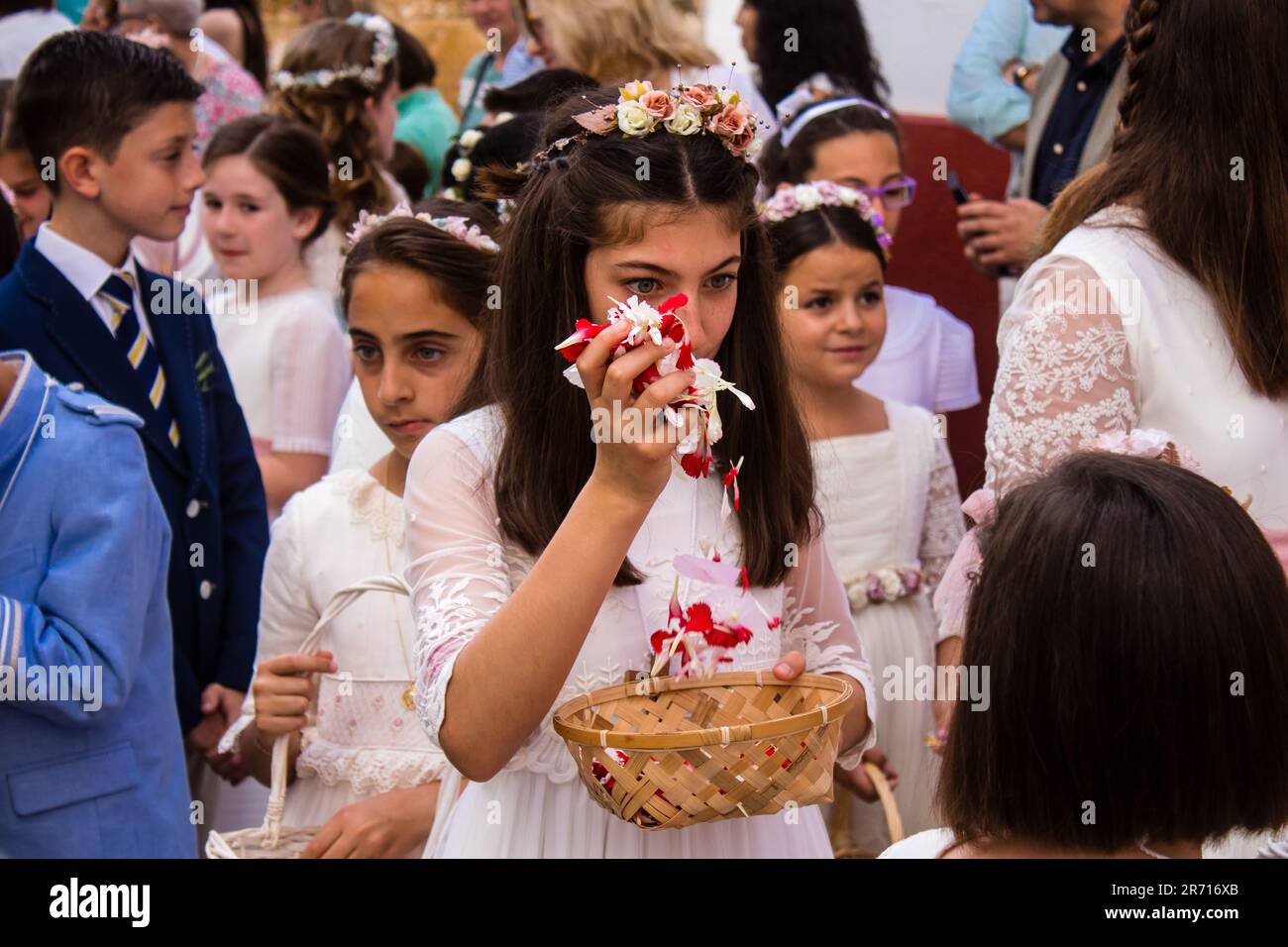 Young children participating at the Corpus Christi procession, an age ...