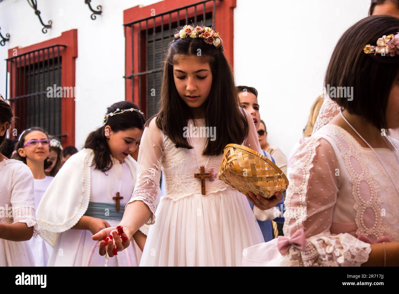 Young children participating at the Corpus Christi procession, an age ...