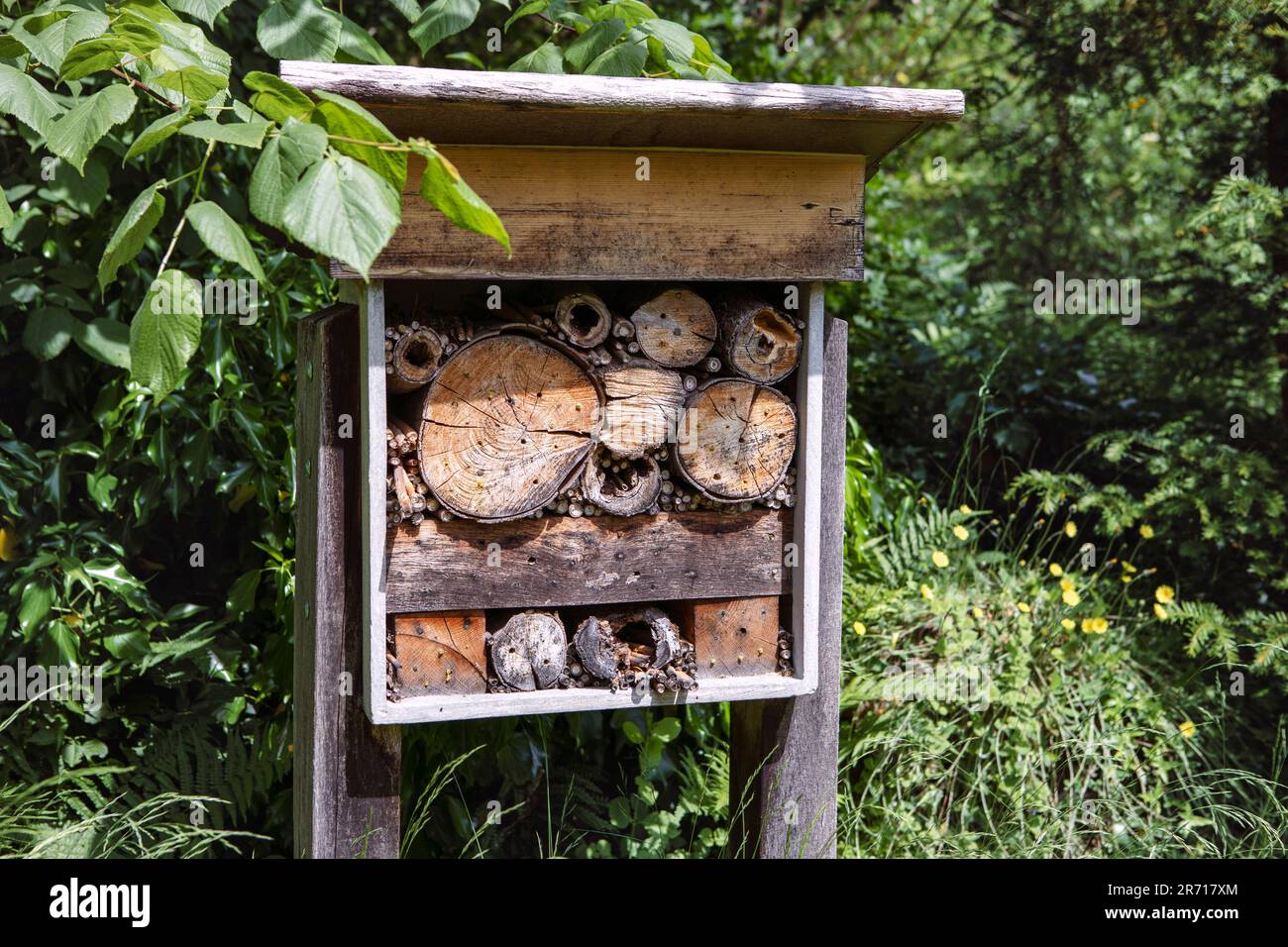 Wooden insect hotel in nature, shelter for wild insects in sunny green ...