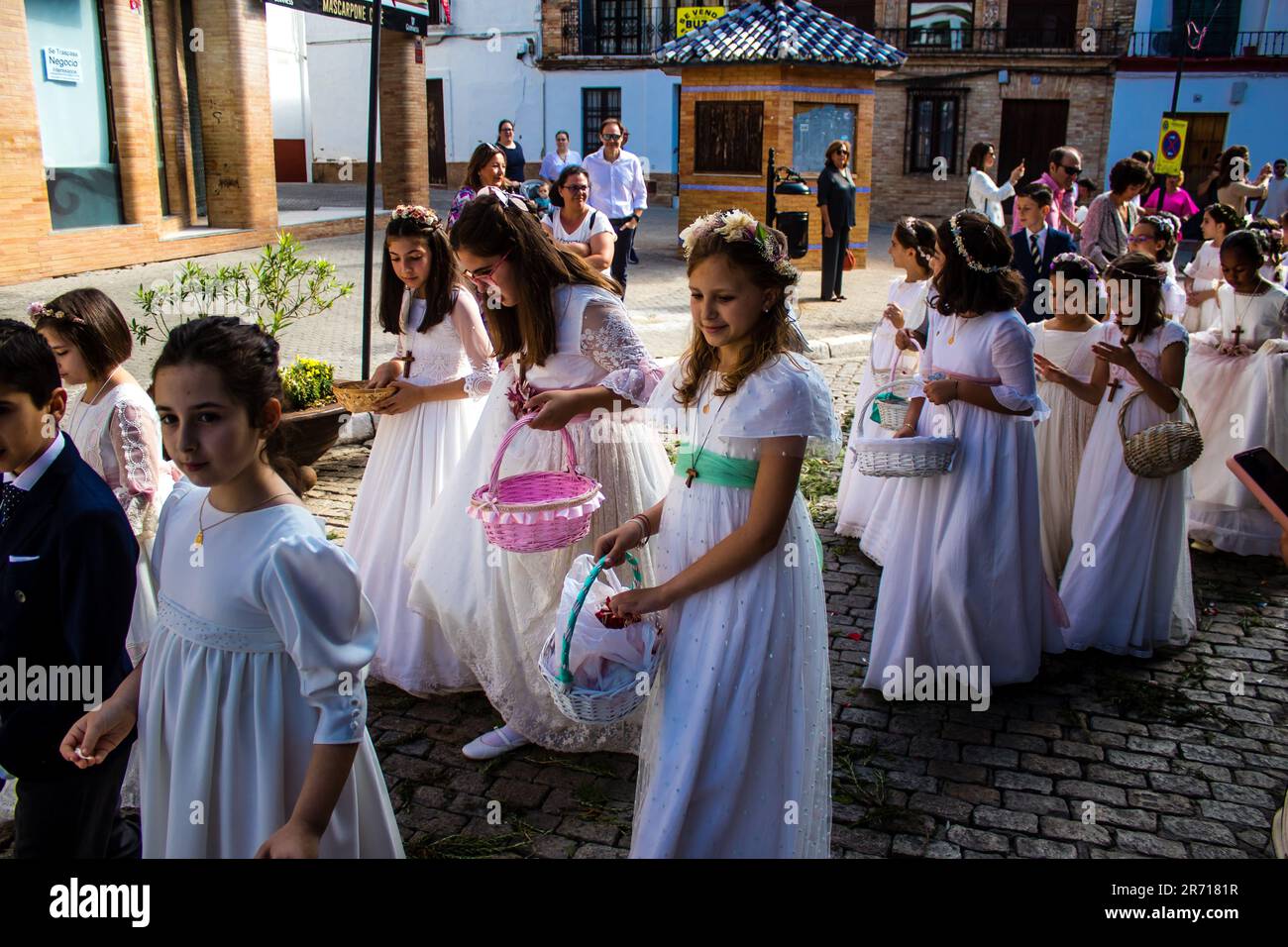 Young children participating at the Corpus Christi procession, an age ...