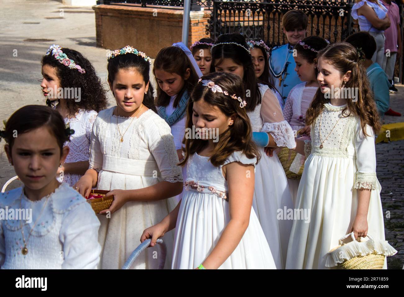 Young children participating at the Corpus Christi procession, an age ...