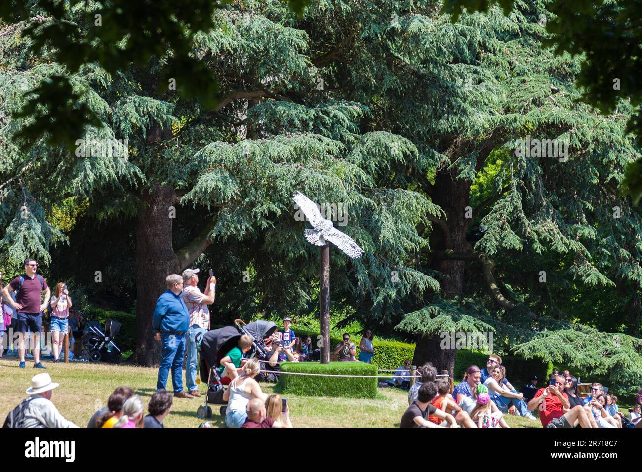 Falconry display at Warwick Castle grounds in Warwickshire, England,UK ...